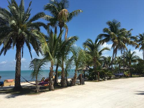 Book Lime Tree Bay Resort, Florida Keys, Florida - Hotels.com