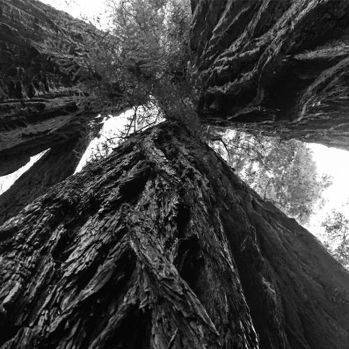 Book Benbow Historic Inn, Garberville, California - Hotels.com