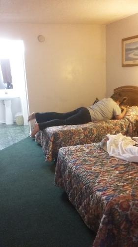 Book Magic Castle Inn and Suites, Kissimmee, Florida - Hotels.com