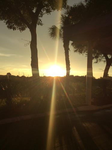 Book Magic Castle Inn and Suites, Kissimmee, Florida - Hotels.com