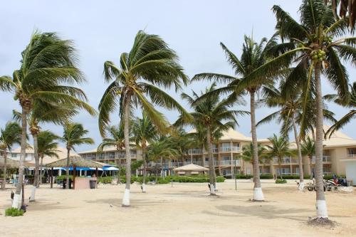 Book Holiday Inn Resort Grand Cayman, Crystal Harbour, Cayman Islands ...