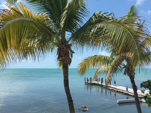 Book Lime Tree Bay Resort, Florida Keys, Florida - Hotels.com