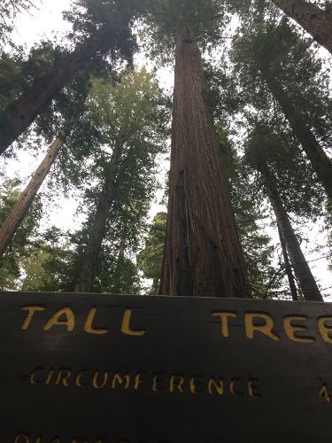 Book Benbow Historic Inn, Garberville, California - Hotels.com