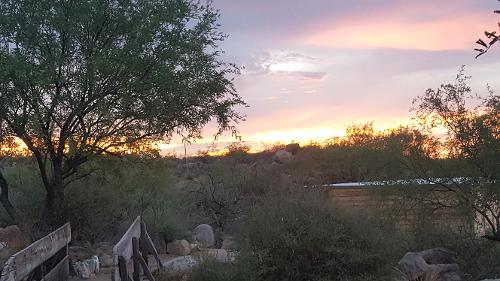 Book Tombstone Monument Guest Ranch, Tombstone, Arizona - Hotels.com