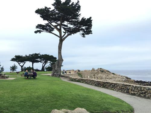 Book Lovers Point Inn, Pacific Grove, California - Hotels.com