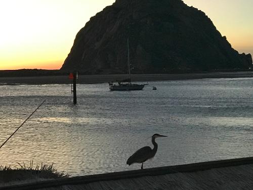 Book Morro Crest Inn, Morro Bay, California - Hotels.com