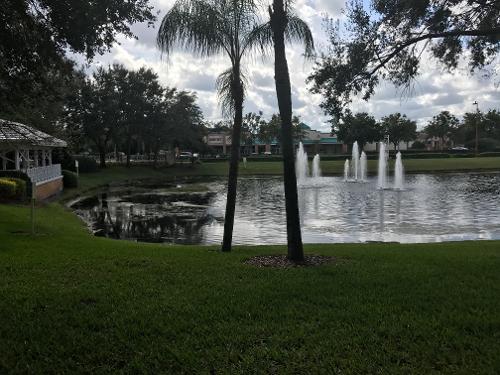 Book Cypress Pointe Resort by Diamond Resorts, Orlando from $95/night ...